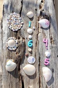 10 Fun Beach Seashell Projects For Little Ones - Artful Toddlers