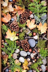 10 Best Nature Sensory Bins To Engage Toddlers - Artful Toddlers